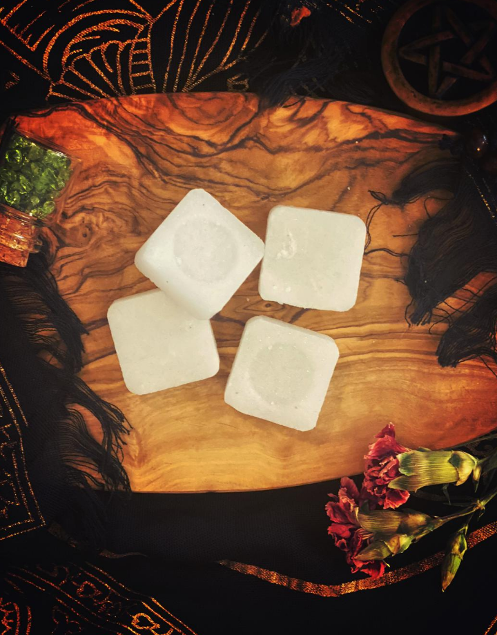 Camphor 4 blocks – Smudge Metaphysical Spiritual Boutique