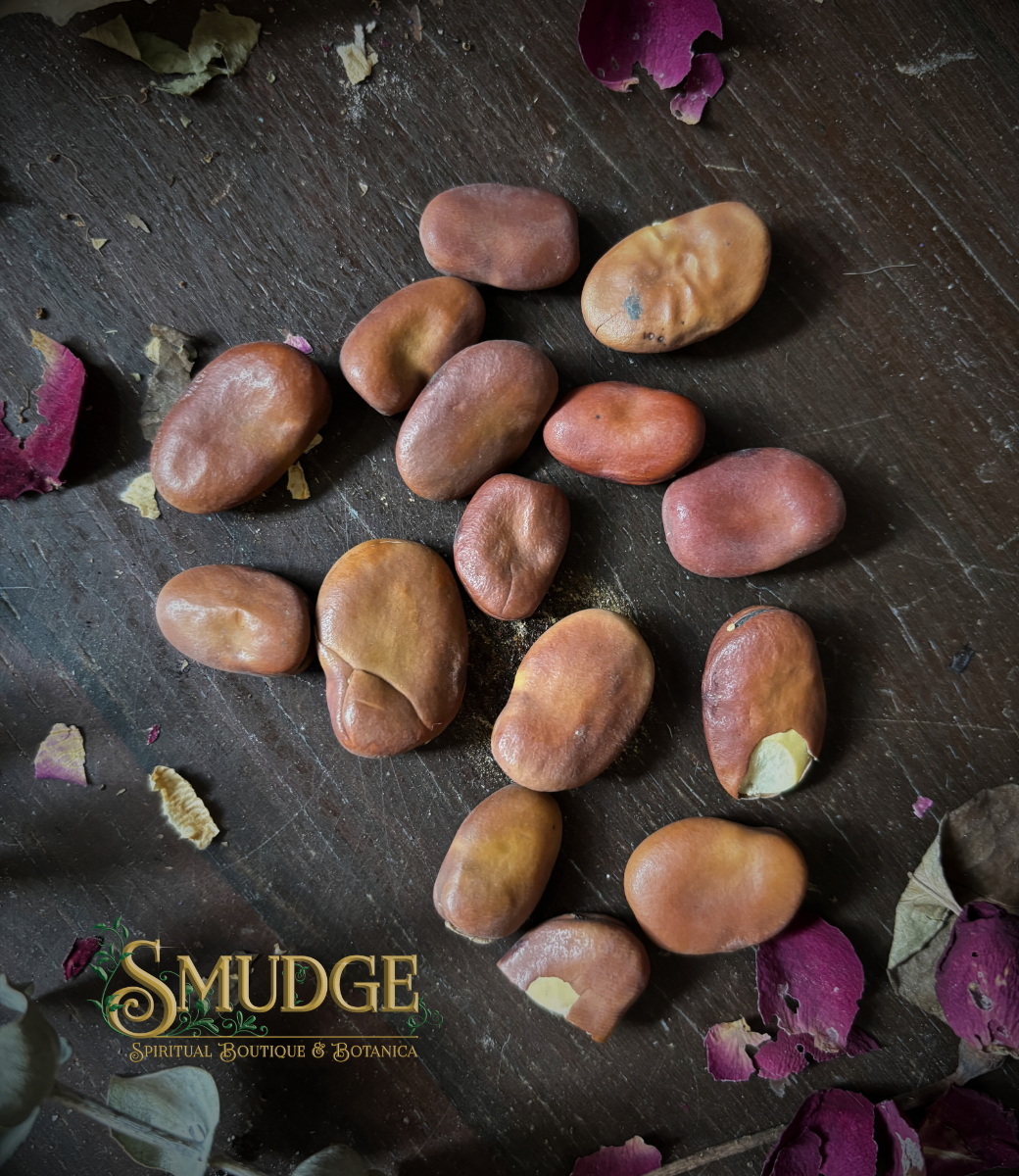 Mojo Beans – Smudge Metaphysical Spiritual Boutique