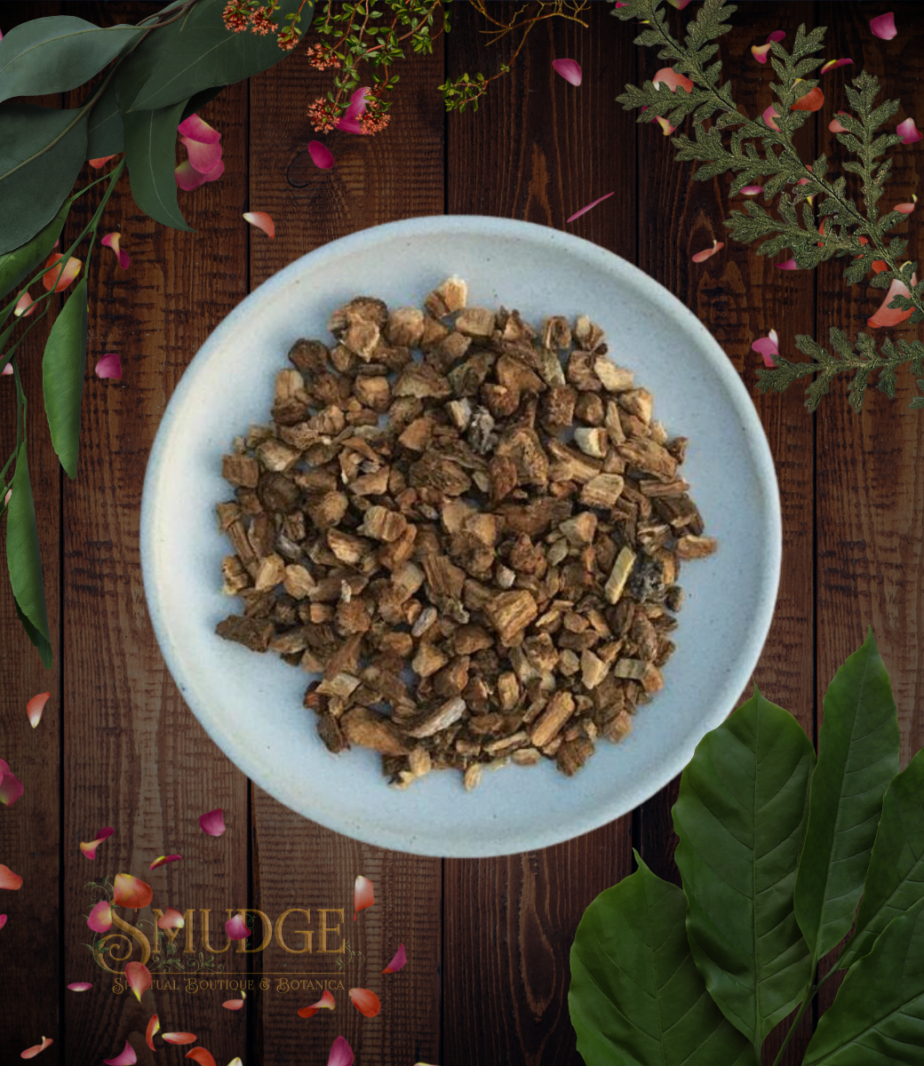 Solomon's Seal Root – Smudge Metaphysical Spiritual Boutique